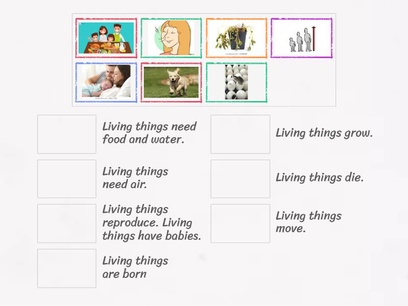 living things - Match up