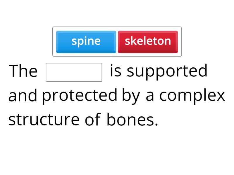 The Human Body - Sentence Completion - Complete the sentence