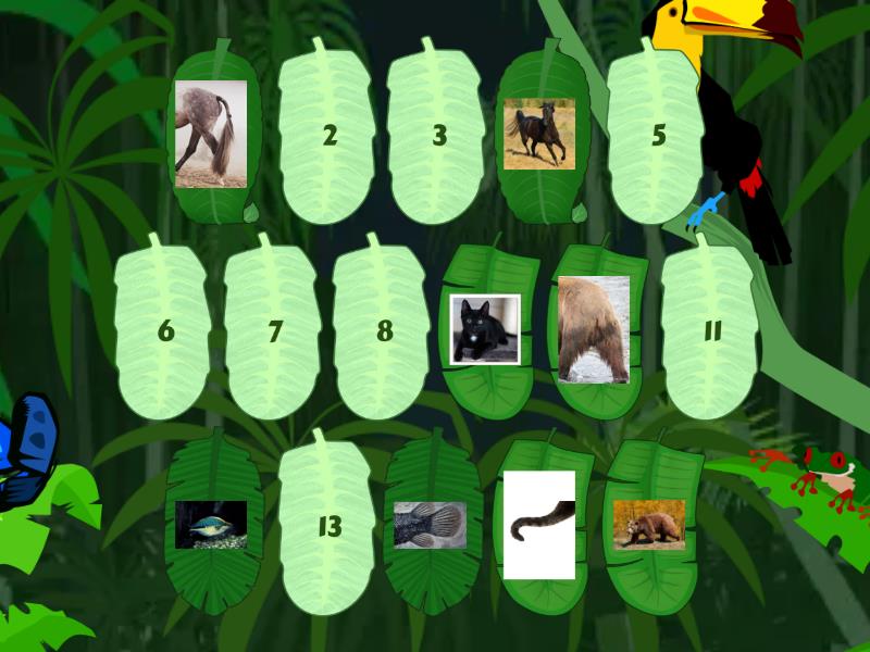 Animal Tails - Matching pairs