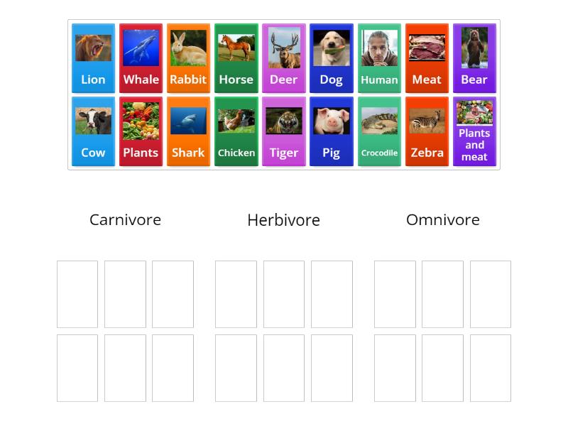 3ºA- Carnivore, herbivore and omnivore - Group sort
