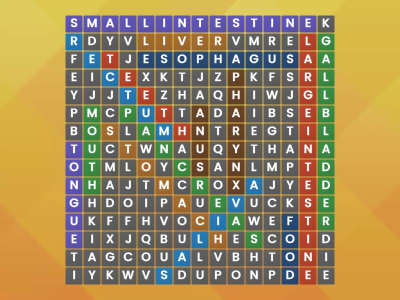 Tummy Puzzle! - Wordsearch