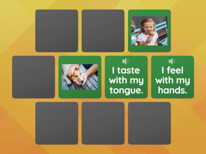 My Senses - Matching pairs