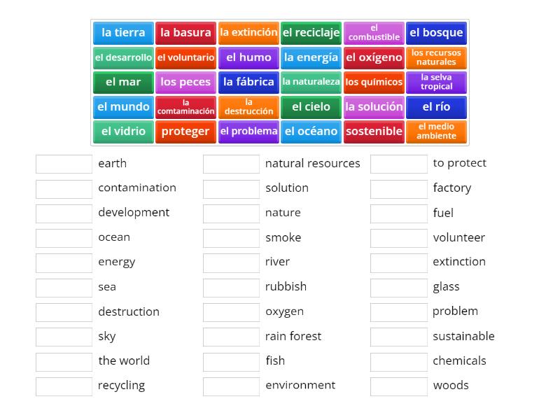 N5 Spanish Environment - Match up