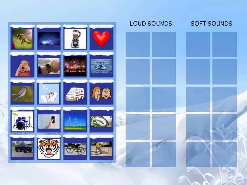 SCIENCE : LOUD AND SOFT SOUNDS - Ordenar por grupo