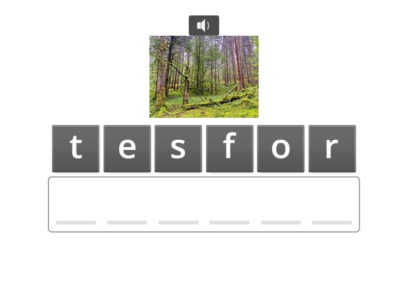 FF3_unit 1_skills time_reading - Anagram