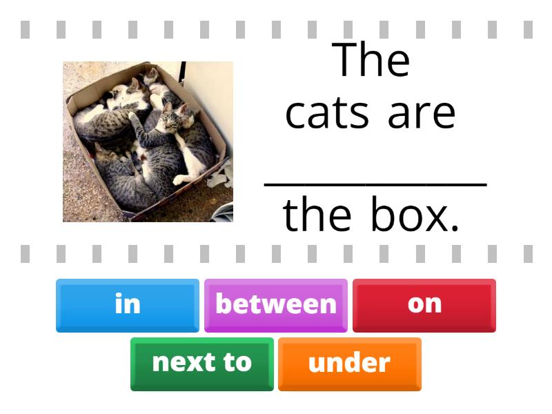 Prepositions (in/on/under/next to & between) - Find the match