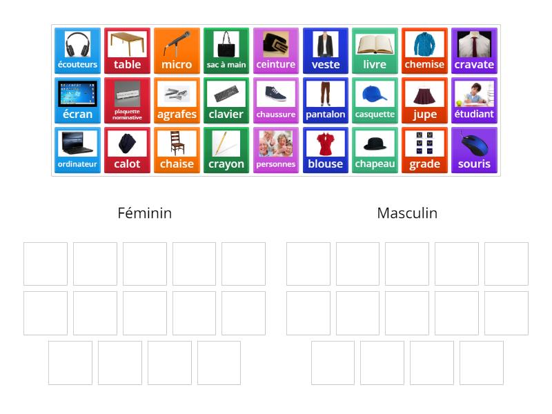 Module 1 Leçon 1 féminin ou masculin (ajout de vocabulaire informatique ...