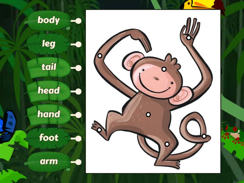 Kid's box body parts - Labelled diagram