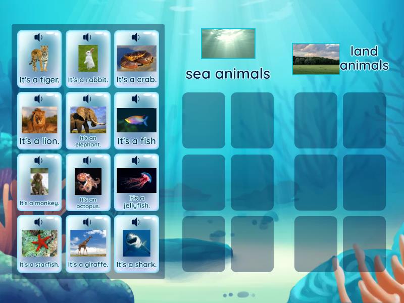 Sea and Land Animals Sorting - Group sort