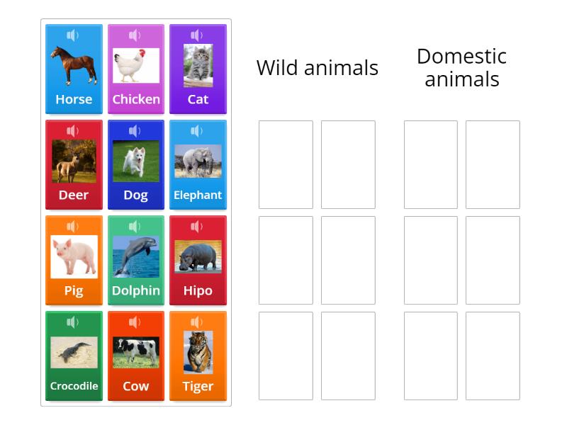 Wild vs Domestic Animals - Group sort