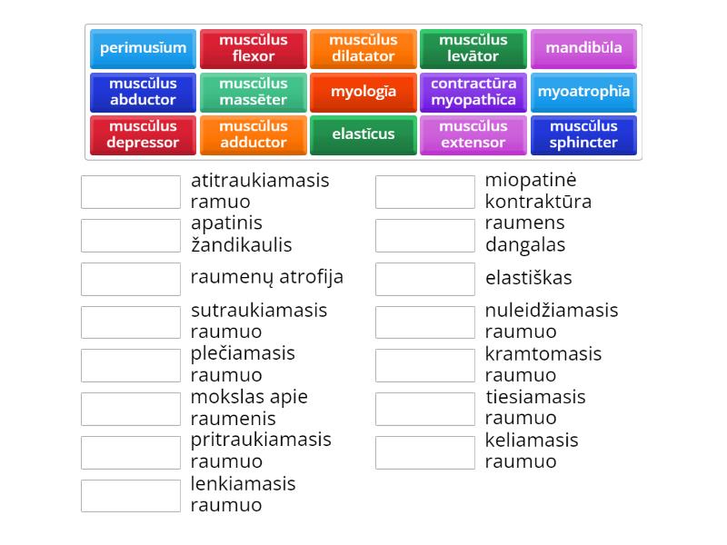 Raumenys - Match up