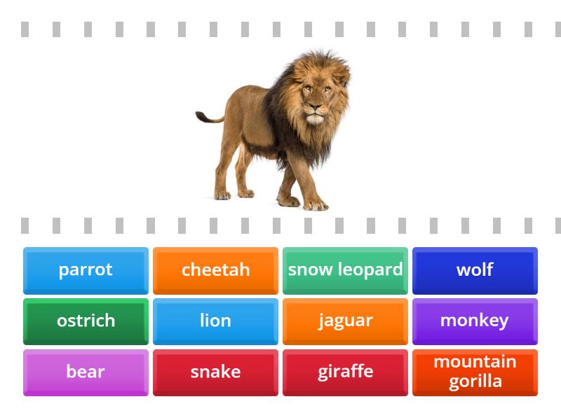 Secrets 1 - Animals - Unit 7 - Find the match