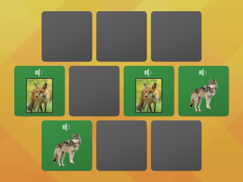 Forest animals - Matching pairs