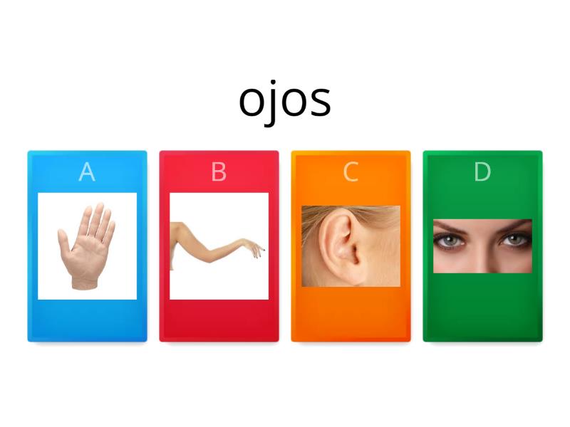Partes de la cara - Quiz