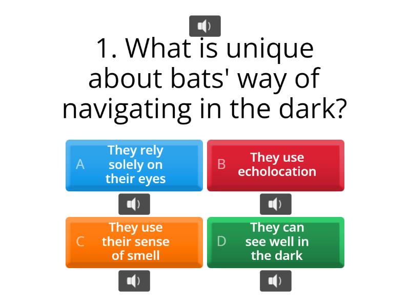 Understanding Bats - Quiz