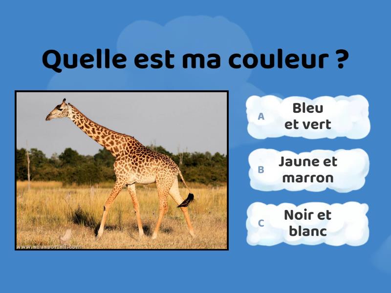 Les couleurs - Quiz