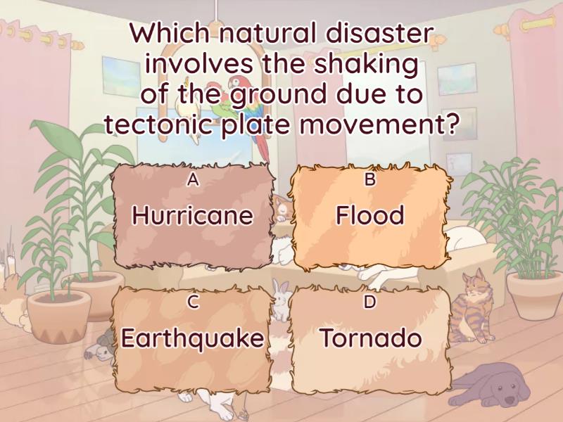 Natural Disaster - Quiz