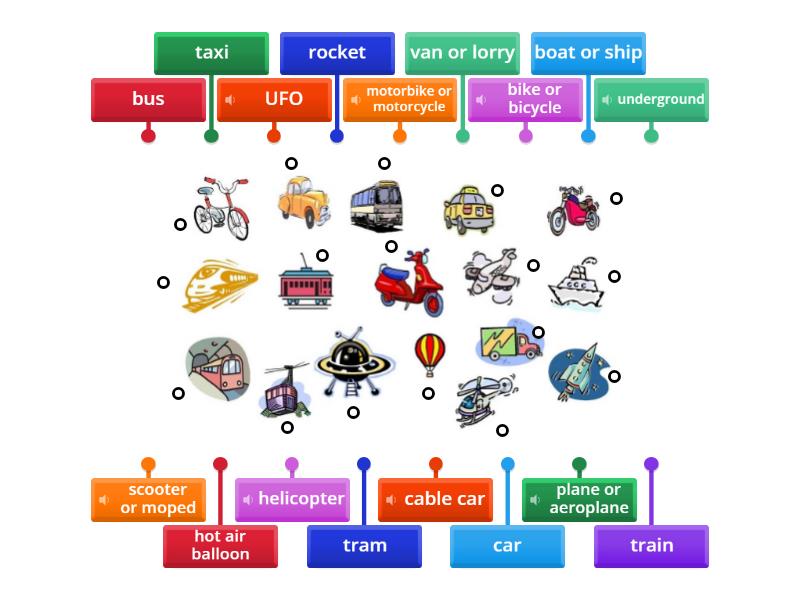 Transport - Labelled diagram