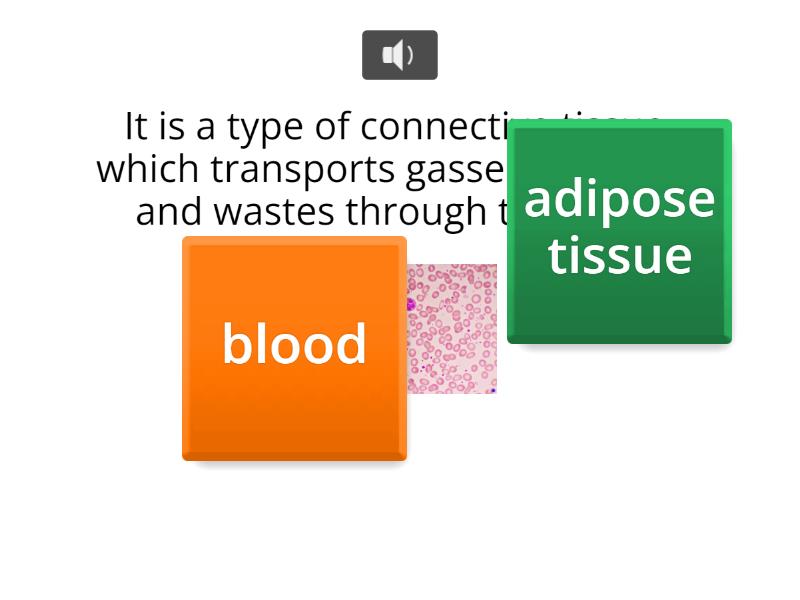 SCI - L5 - Types of Tissues - Flying fruit