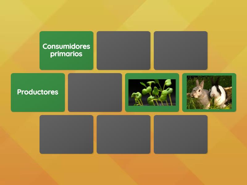 Los productores,consumidores y la descomponedores - Parejas