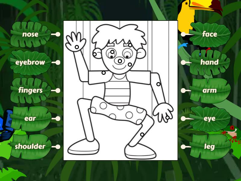 Body parts (Family and Friends 1) - Labelled diagram