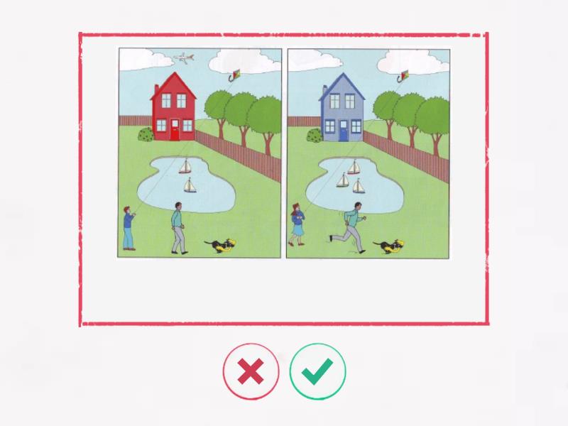 Find the differences - Flash cards