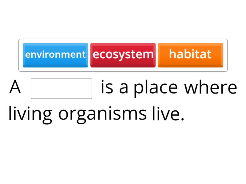 Susi - Nat Sci - Unit 4 - Ecosystems - Complete the sentence