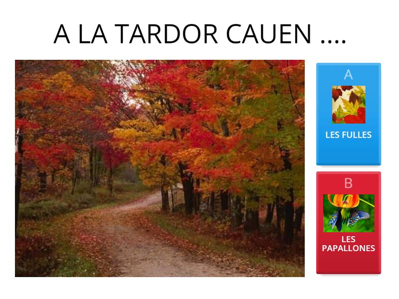 LA TARDOR - Quiz