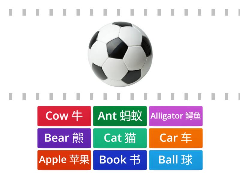 BI STAGE 1 LEVEL 1 PHONICS PPT1 - Find the match