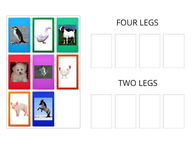 ANIMALS FOUR AND TWO LEGS - Group sort