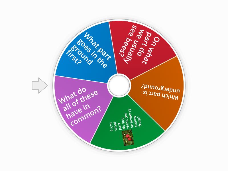 Natural Science: Life & Living - Spin the wheel