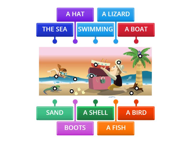 AT THE BEACH - Labelled diagram