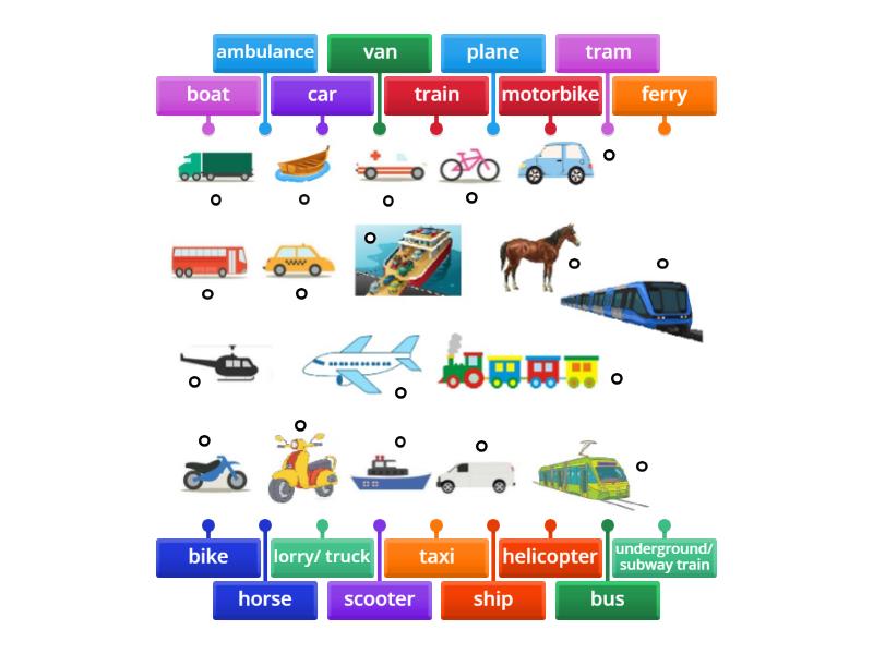 TA2 - U9.2. Transport - Labelled diagram