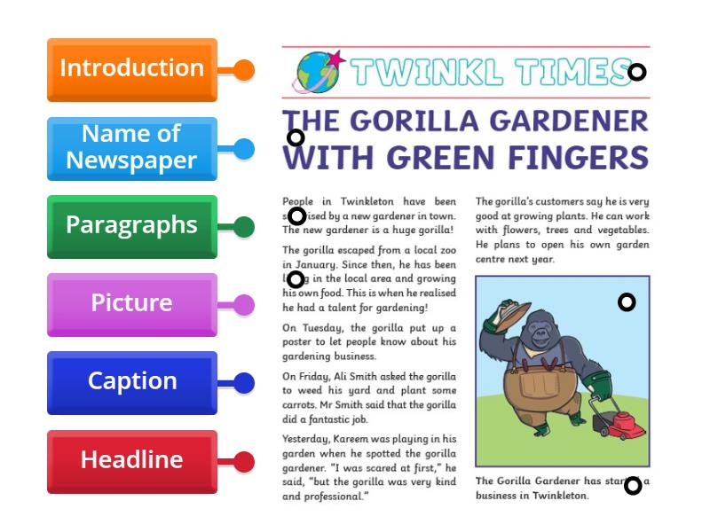Features of a Newspaper Report - Labelled diagram