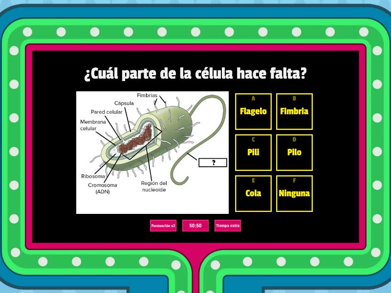 Partes de las células - Gameshow quiz
