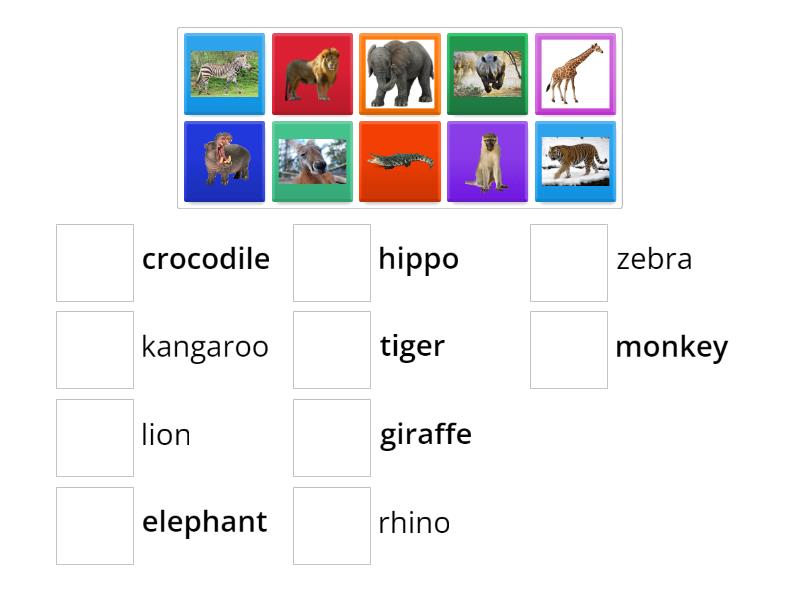 Wild animals words starter 1 - Match up