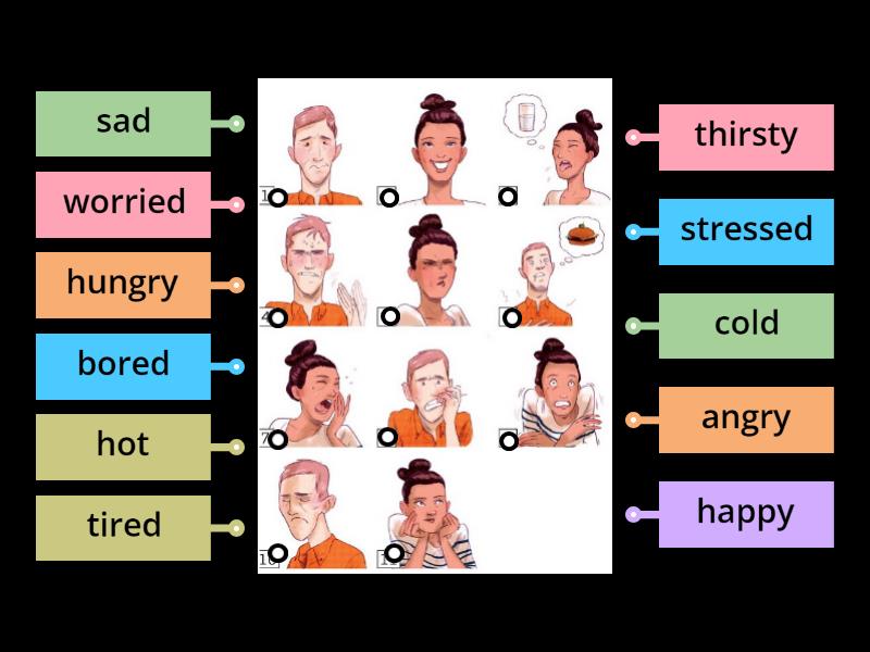 AmEF. Feelings - Labelled diagram