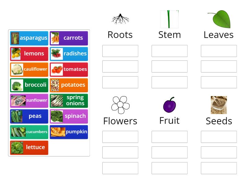 Edible parts of the plant - Group sort