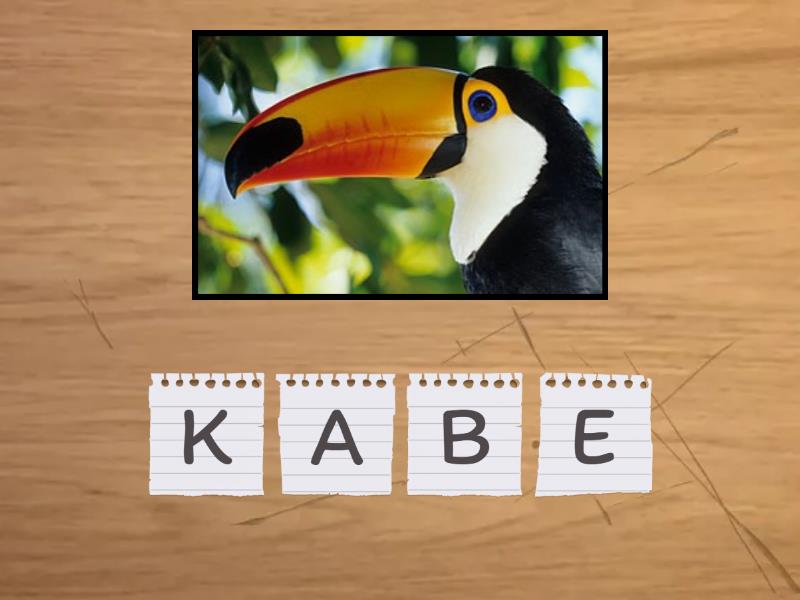 Birds! - Anagram