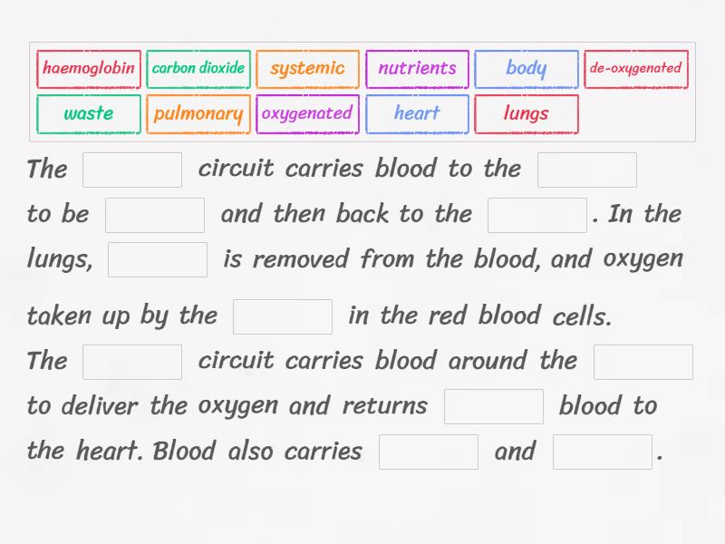 Circulation - Complete the sentence