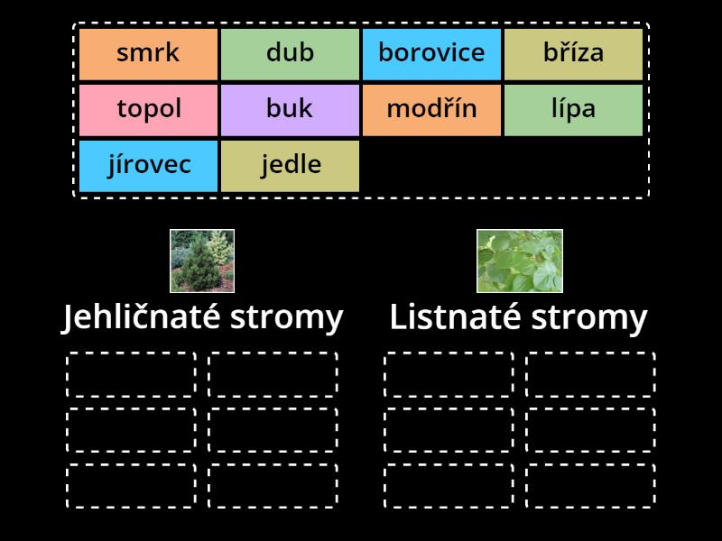 Stromy - Group sort