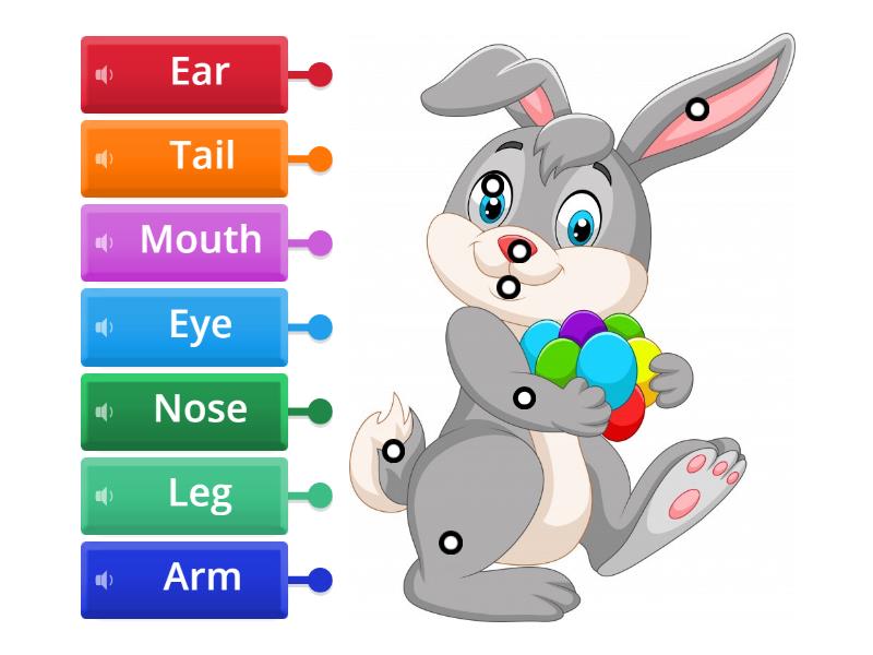 Easter Bunny body parts - Labelled diagram