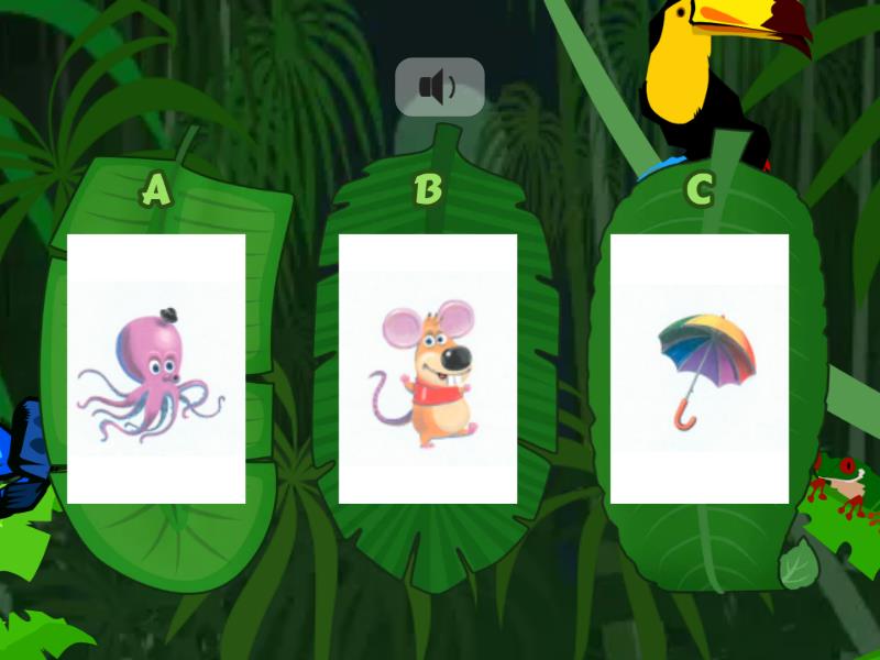 Review Mm - Zz - p62 - Quiz