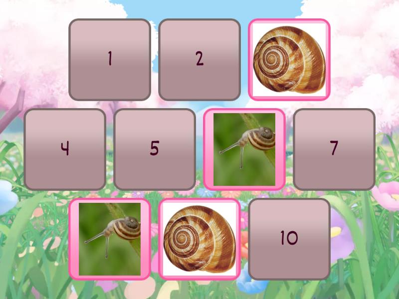 snails matching - Matching pairs