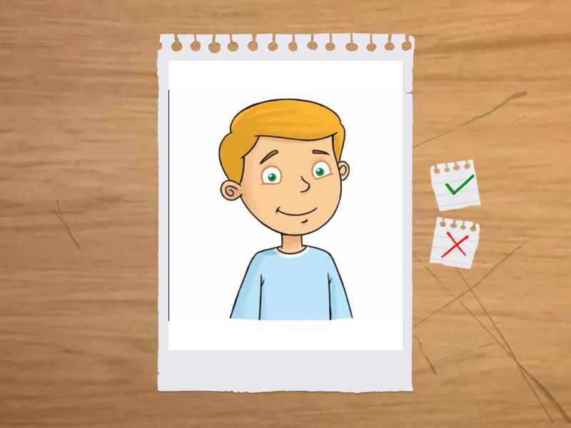 Family and Friends starter starter - Flash cards