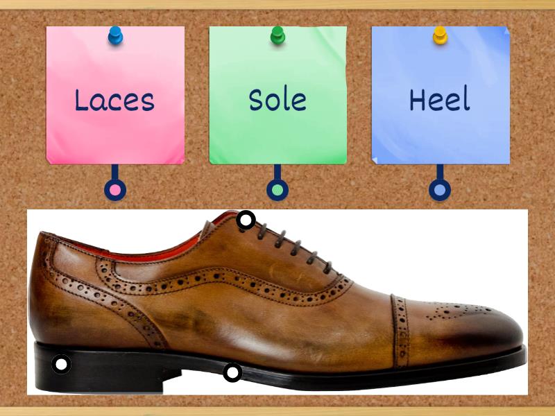 WW4 -Unit 3 - Parts of the shoe - Labelled diagram