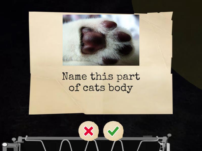 Lets remember - Flash cards