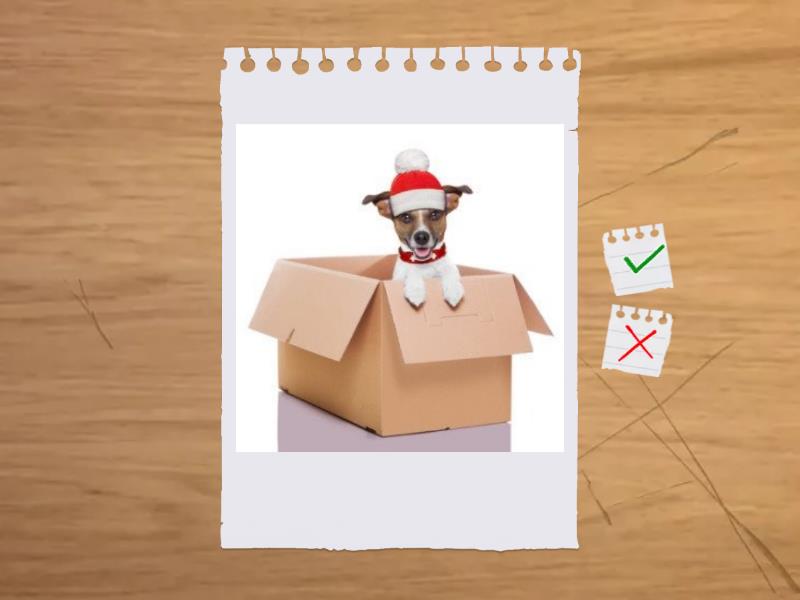 Unit 7 Words : EPC 2 - Flash cards