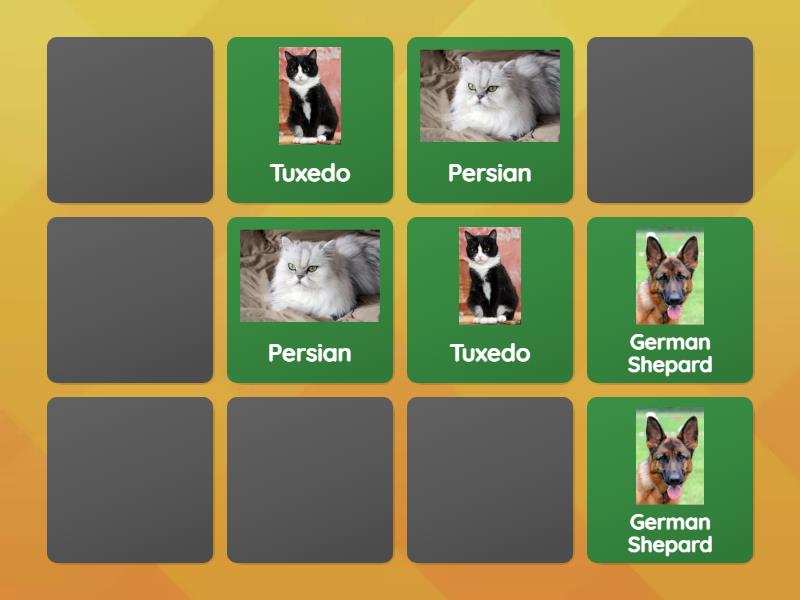 Matching Cats and Dogs - Matching pairs