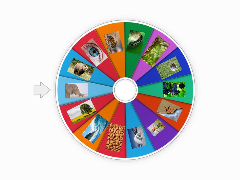 Ruleta sonido inicial vocales - Spin the wheel